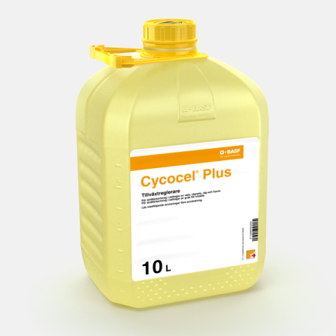 Svampsjukdomar - BASF Agricultural Solutions Sverige