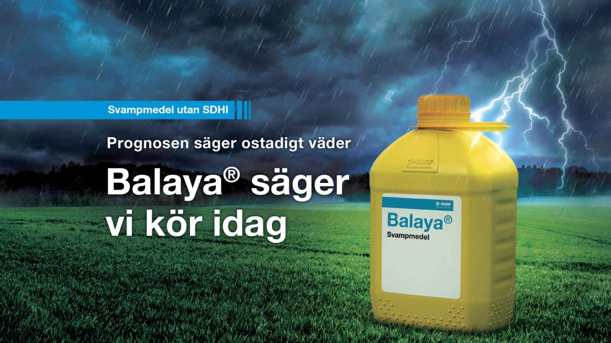 Balaya® - en ny effektiv bredspektrumfungicid utan SDHI
