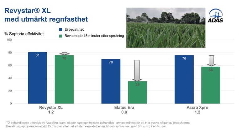Revystar XL - BASF Agricultural Solutions Sverige
