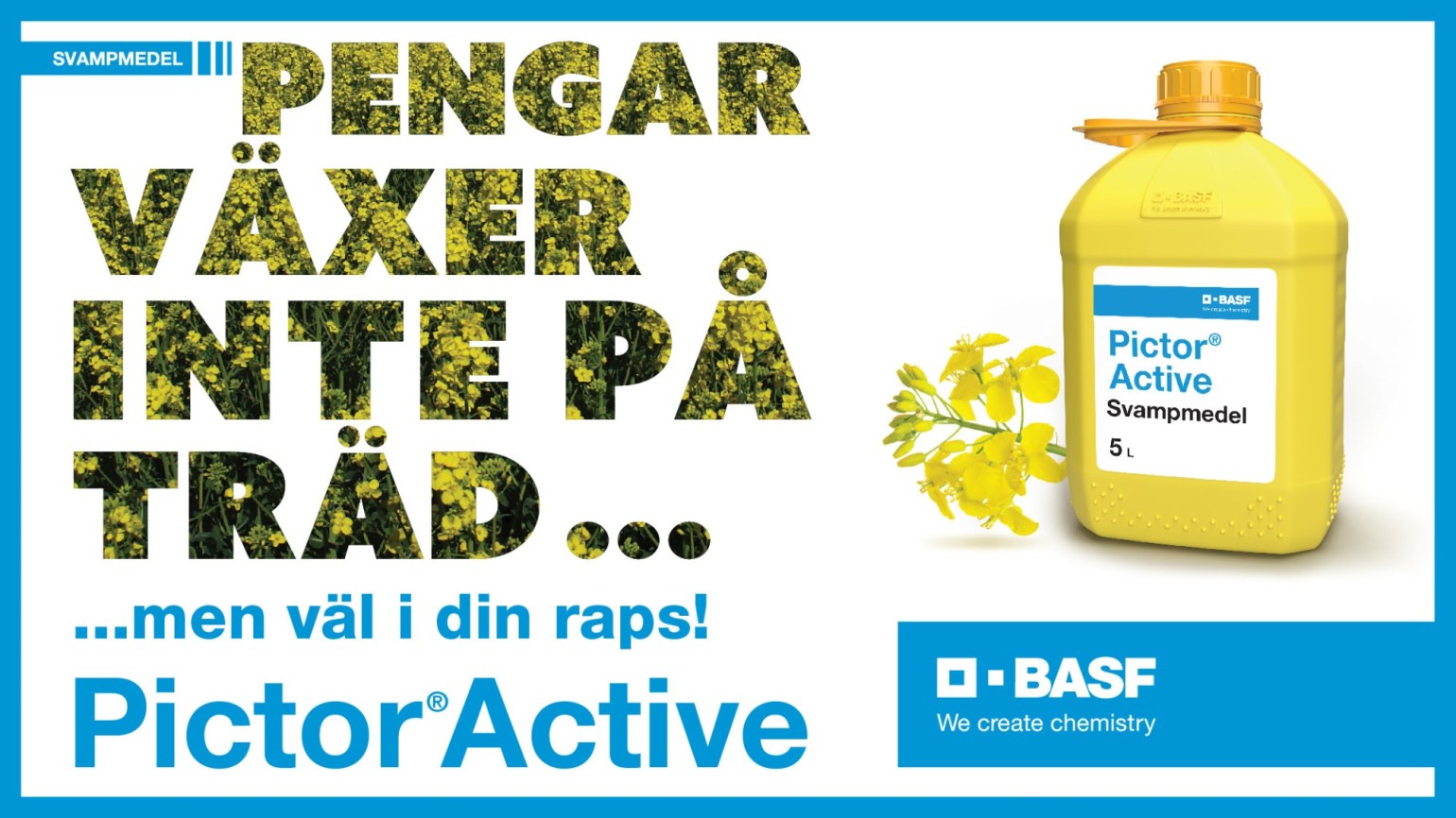 Pictor® Activ - Starkaste & bredaste fungicid för raps