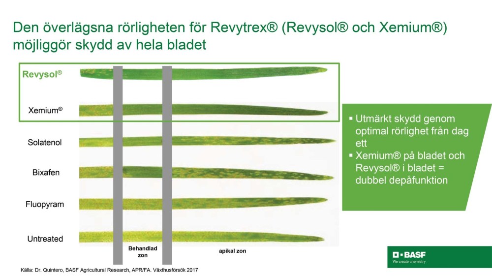 Revytrex - Brett svampmedel för vete, rågvete, råg och korn