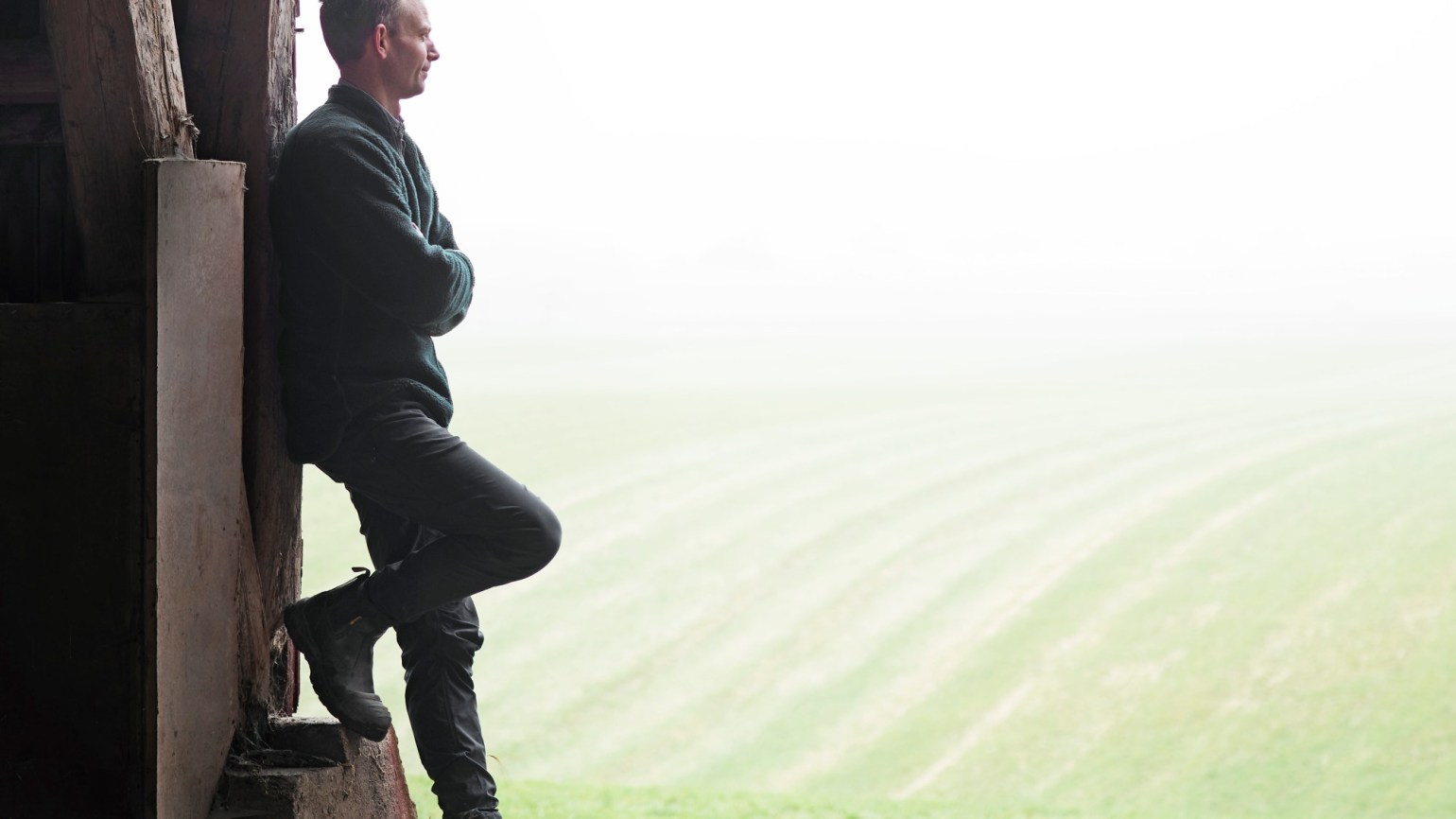 Revystar® XL - säker och trygg svampbekämpning i höstvete med ...