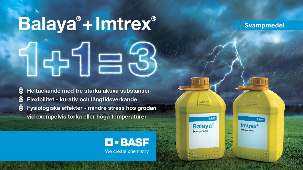 Balaya® - en ny effektiv bredspektrumfungicid utan SDHI