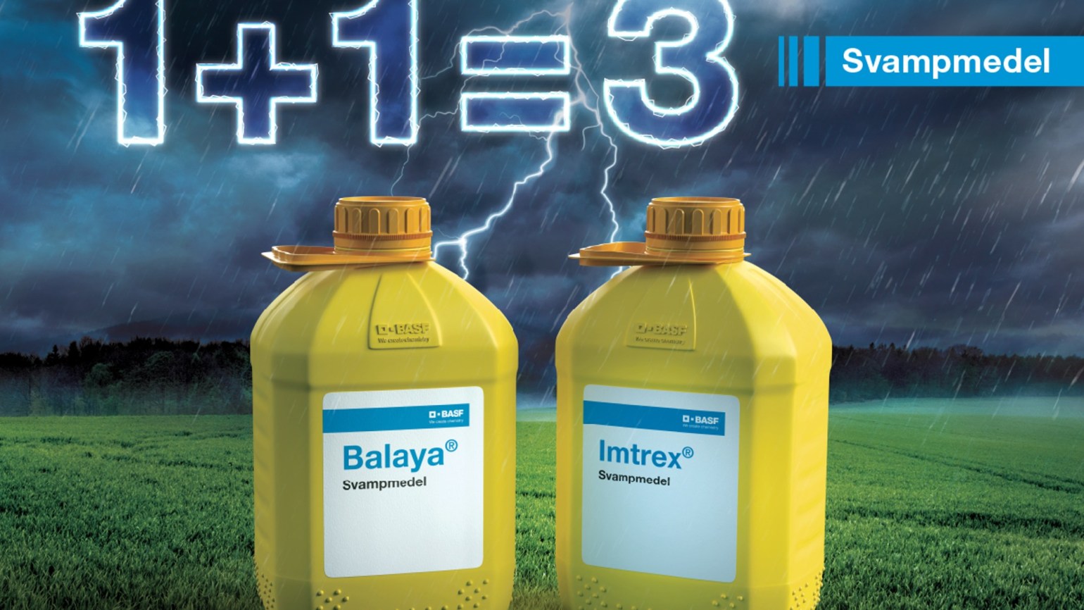 Balaya® - en ny effektiv bredspektrumfungicid utan SDHI