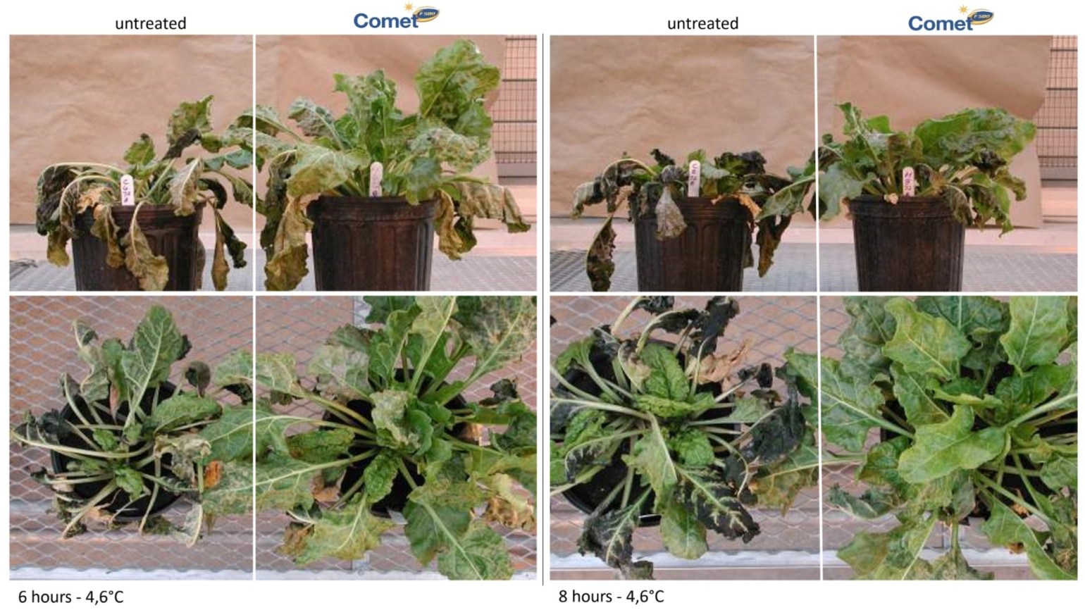 Comet Pro - BASF Agricultural Solutions Sverige